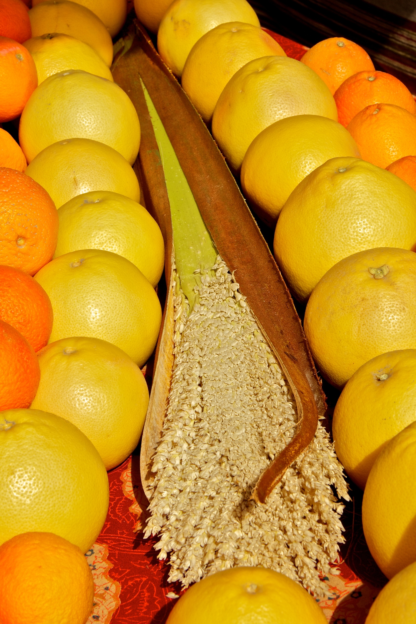 Superfood Tip: Top 10 Fat Burning Fruits to Lose Weight ...