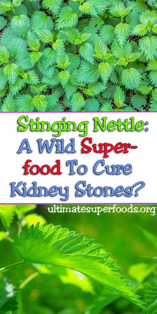 Ultimatesuperfoods - Superfood & Health News