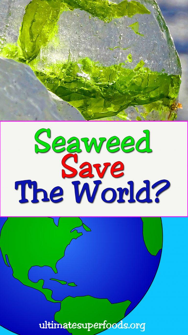 Seaweed: Good For The Health And Good For The Earth?! - Ultimate super ...