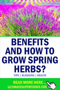 Herbs benefits and how to grow spring herbs? - Ultimate super foods